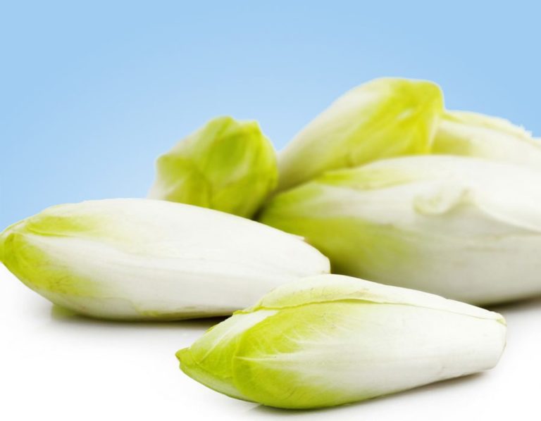 Endivias, bandeja | Vivelafruta