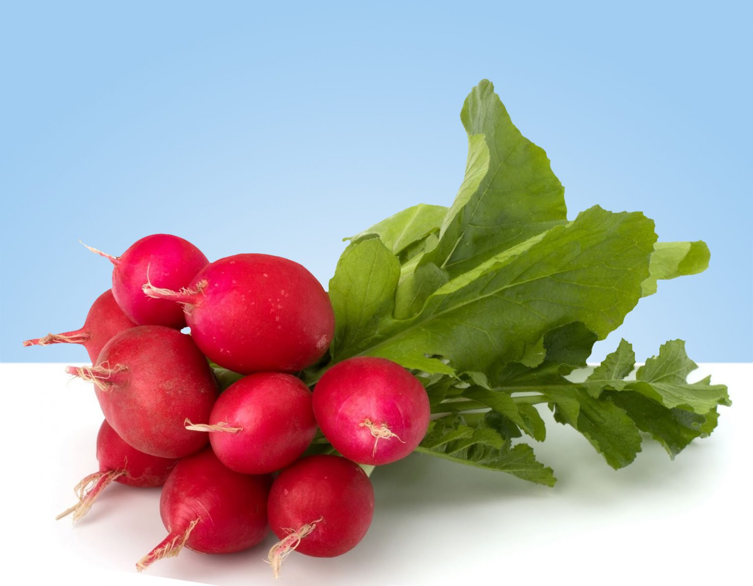 Tienda online de fruta y verdura | Página 3 de 8 | Vivelafruta